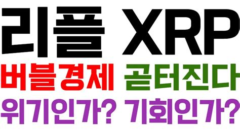 리플 Xrp 버블경제 곧터진다 위기인가 기회인가 Sec 리플전망2025 리플xrp실시간 리플코인실시간 리플코인목표가 리플코인