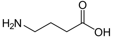 Gaba Supplement Dosage What Does Gaba Do