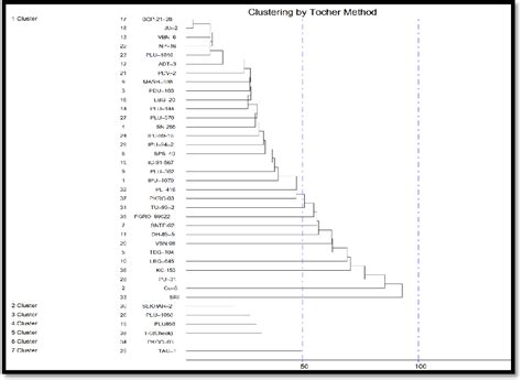 Figure 1 From Genetic Diversity For Yield And Its Component Traits In