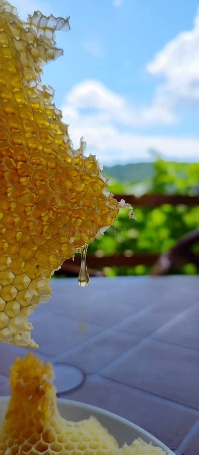 Touch Of Honey Stock Image Image Of Touch Honey Honeycomb 274015047