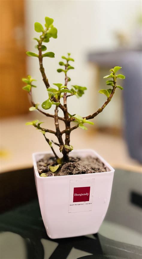 Rupam Bhuyan On Linkedin Sparshweek2024 Delightingcustomerseveryday