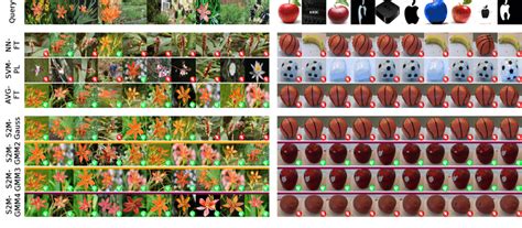 Retrieval Comparison For The Left And The Oxford Flowers Dataset
