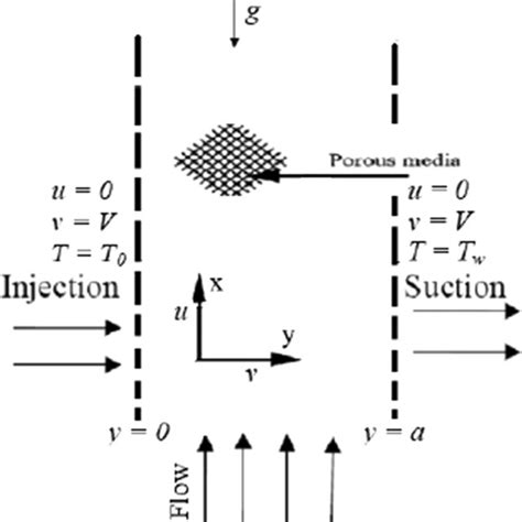 Physical Flow Model With Coordinate System Download Scientific Diagram