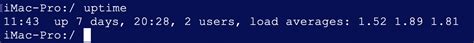 Uptime Definition