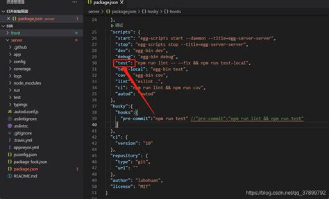 nuxt的使用（四）——后端项目规范1：husky nuxt3 公用hooks 在哪写 csdn博客