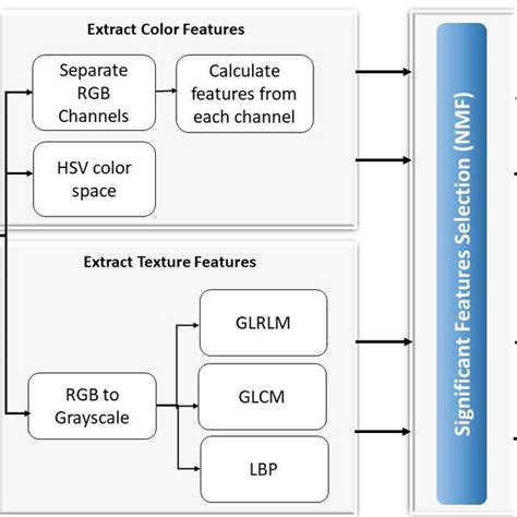 The Proposed System For Classifying Brain Grades From Digital Pathology Download Scientific