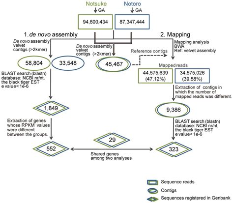 Bioinformatics Workflow And Results Of The Single Steps Of The Workflow Download Scientific