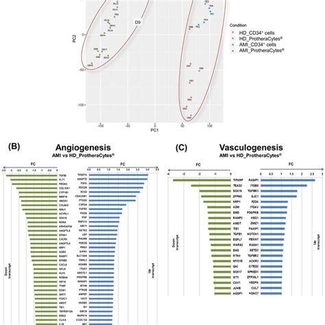 Rna Expression Levels Detected By Rnaseq Analysis Of Protheracytes From