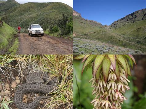 Sani Pass Elevation Gradient Project Mark Robertson