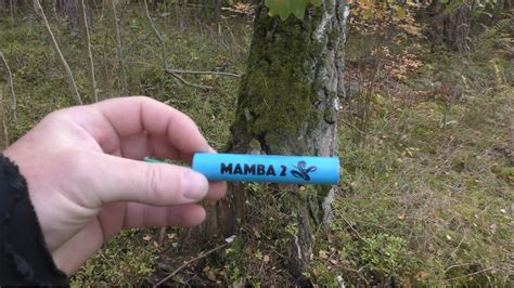 Mamba 2 - YouTube