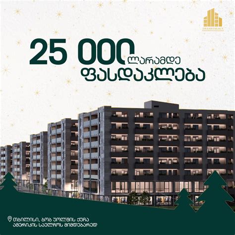 🎄 განსაკუთრებული საახალწლო Dream Palace დრიმ პალასი