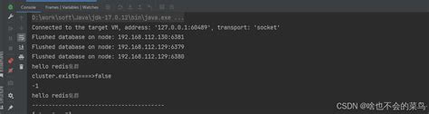 redis7——基础篇（八） java连接redis csdn博客