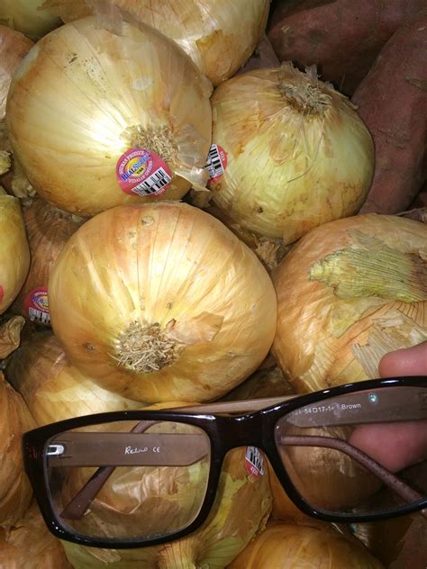 Ap Biology Biological Collection Photo Blog Modified Stem