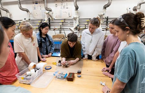 Vipr Program Uga Office Of Instruction