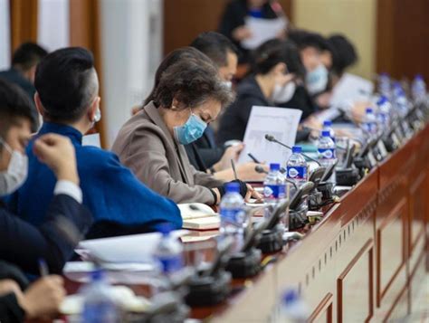 Жендэрийн үндэсний хороо 2020 оны ажлын төлөвлөгөөгөө батлав