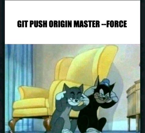 Git Push Force 💥 Rprogrammerhumor