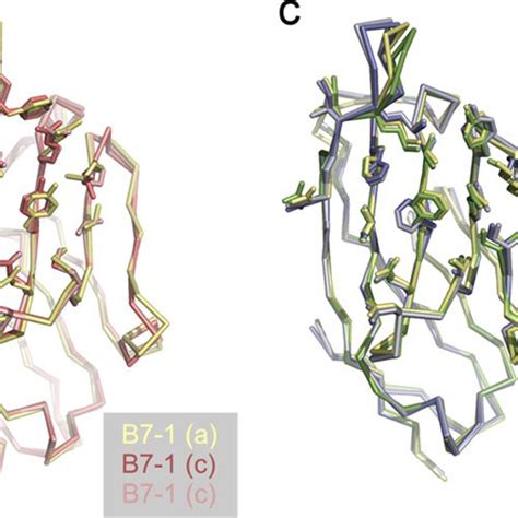 Recognition Of Ctla 4 By B7 1 And B7 2 In A The Shift In The Download Scientific Diagram