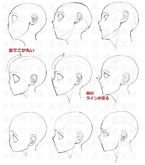 动漫动画创作人物头像多角度多视角参考学习资 漫品狗 Mg动画短片素材 Flash源文件 动漫矢量图免费素材网 花瓣网