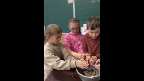 3 лютого День птахів Youtube