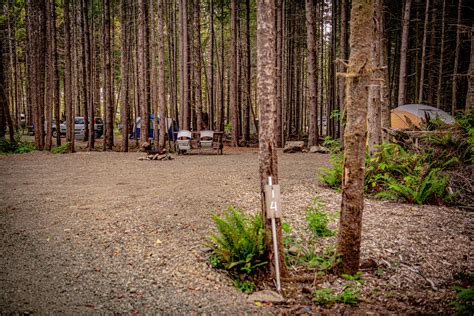Olympic Adventure Campground Hipcamp In Forks Washington