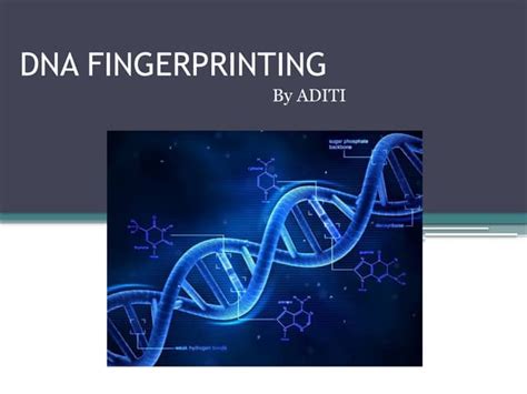 Dna Fingerprintingpptx It Is A Biotechnology Techniques Used In Forensic Science Ppt