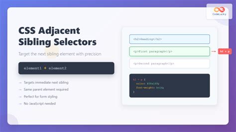 Css Universal Selector Complete Guide To Selecting All Elements With