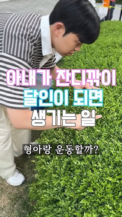 아내가 잔디깎이 달인이 되면 생기는 일 Youtube