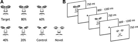 Face Stimuli And Timeline Of The Continuous Target Detection Ctd A