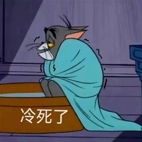 表情包来了 无所谓，我会出手 冷死了 爷飞起就是一脚 莫说咯…… 冷死了 表情包 沙雕 新浪新闻
