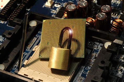 AMD Rolls Out Patches To Disable Predictive Store Forwarding On Zen 3 CPUs Tom S Hardware