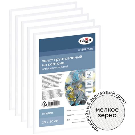 Набор холстов на картоне Гамма `Студия` 5шт 20х30см хлопок 280г м2 мелк зерно купить в