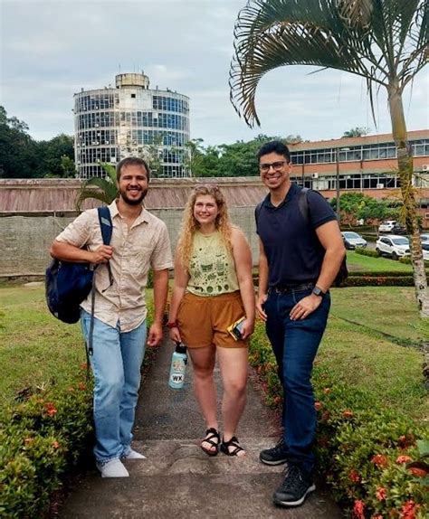 andré sousa on linkedin sustentability cocoa agroforestry