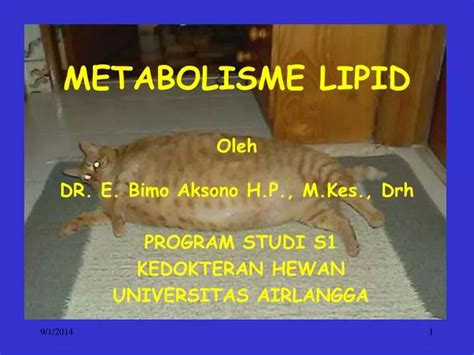 Ppt Metabolisme Lipid Oleh Dr E Bimo Aksono H P M Kes Drh