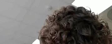 Krøller Hair  Krøller Hair Curly Discover And Share S