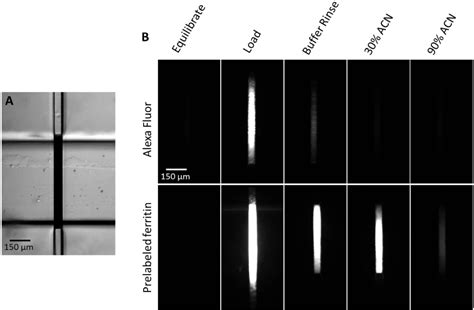 Figure 1 From 3d Printed Microfluidic Devices For Solid Phase