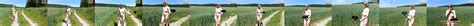 Sexy Milf Walks Naked In A Field Outside The City Big Natural Boobs Nudism Xhamster
