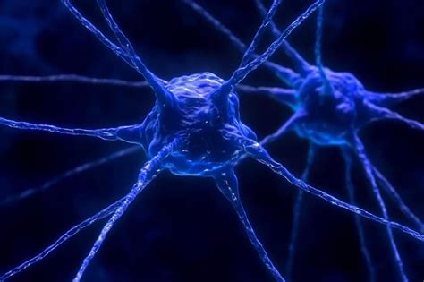 Neurodata Optogenetics And Circuit Plasticity Close Up Of Blue Neuron