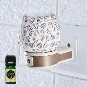 Camphor Aroma Oil Diffuser Set Price In India Buy Camphor Aroma Oil Diffuser Set Online At