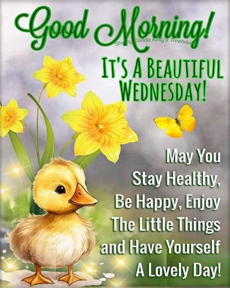 Have A Nice Wednesday Morning