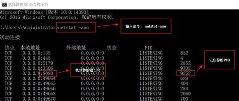 bindexception address already in use bind问题，端口号被占用的一种解决方法 csdn博客