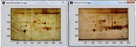 Loading GUI User Needs To Choose Standard And Sample Images For Download Scientific Diagram
