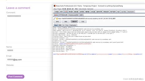 【burpsuite安全练兵场 客户端11】跨站点脚本xss 20个实验（上）burpsuite Xss攻击实现 Csdn博客
