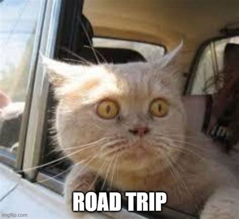 Testingil Gil Zilberfeld Agile Sw Testing Consultancy International Keynote Speaker On