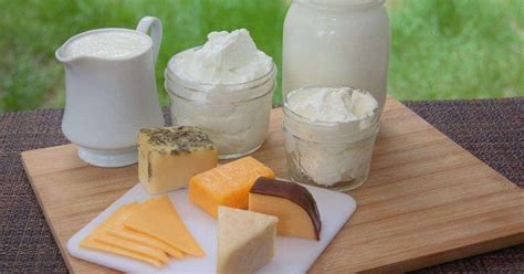 Dairy Recipes Bush Cooking