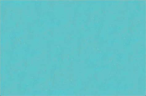 Boxed Blank Note Cards 3 Each Of 4 Designs 34702 Wild S