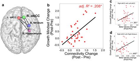 Plasticity Of Dorsal Acc Subcortical Functional Connectivity Associated