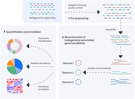 Sharvari Narendra On Linkedin Metagenomics — A Unique View Into The Unculturable Microbial