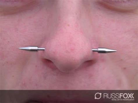 Different Kinds Of Facial Piercings TatRing