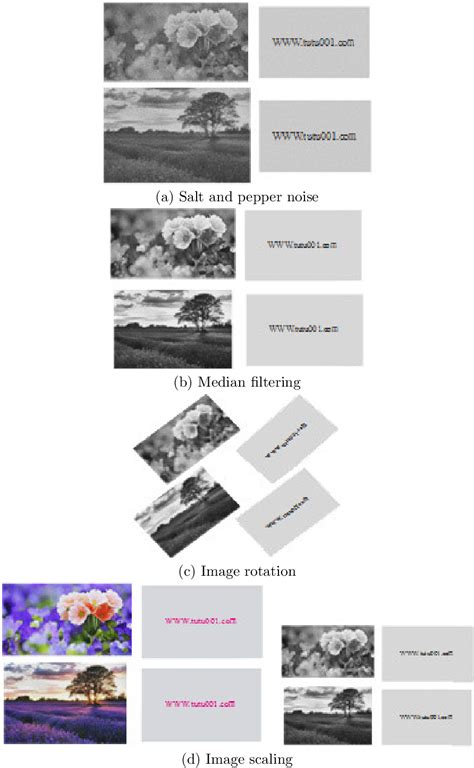 Figure 1 From Research On Image Digital Watermarking Optimization Algorithm Under Virtual