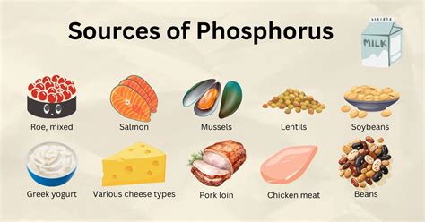 Phosphorus — Rich Foods Deficiency Recommended Intakes And Benefits